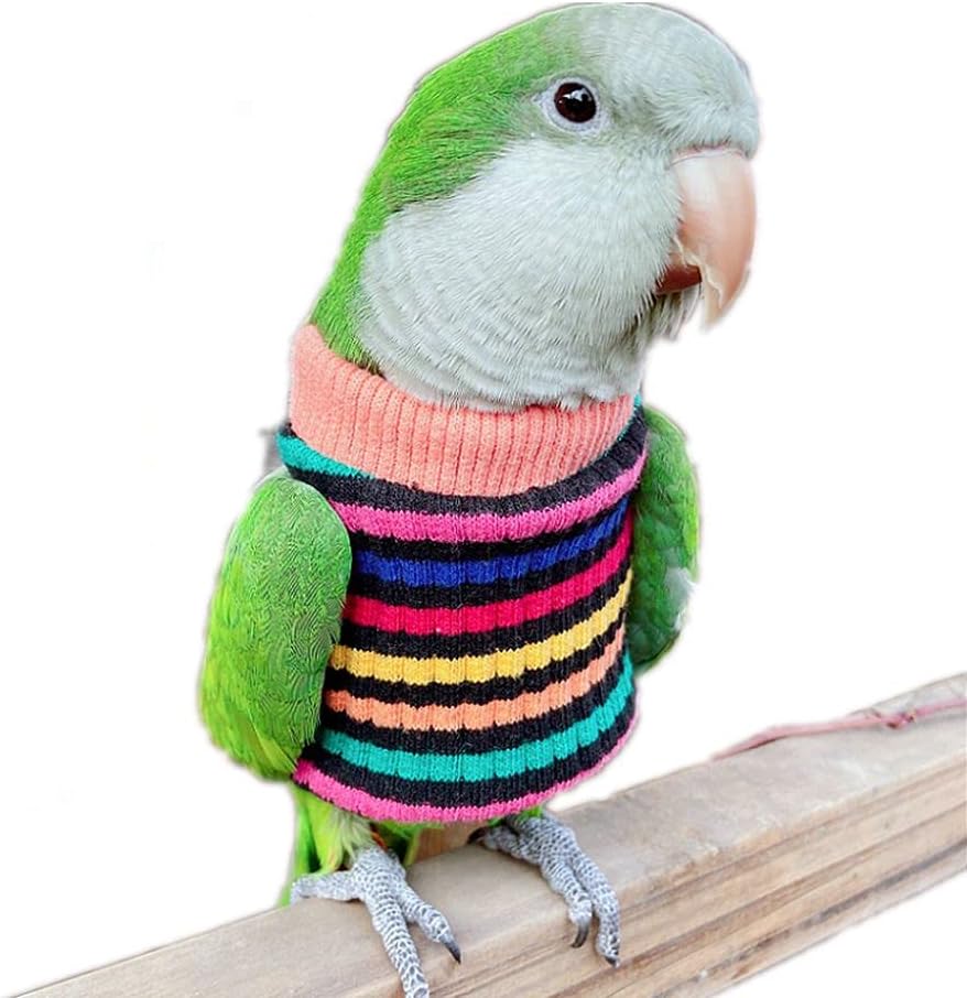 Amazon.com : Bird Clothes - Cotton Sweater Bird Flight Suit for Parrots ...