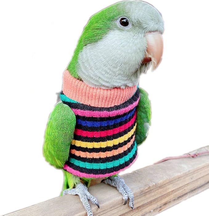 Amazon.com : Bird Clothes - Cotton Sweater Bird Flight Suit for Parrots ...