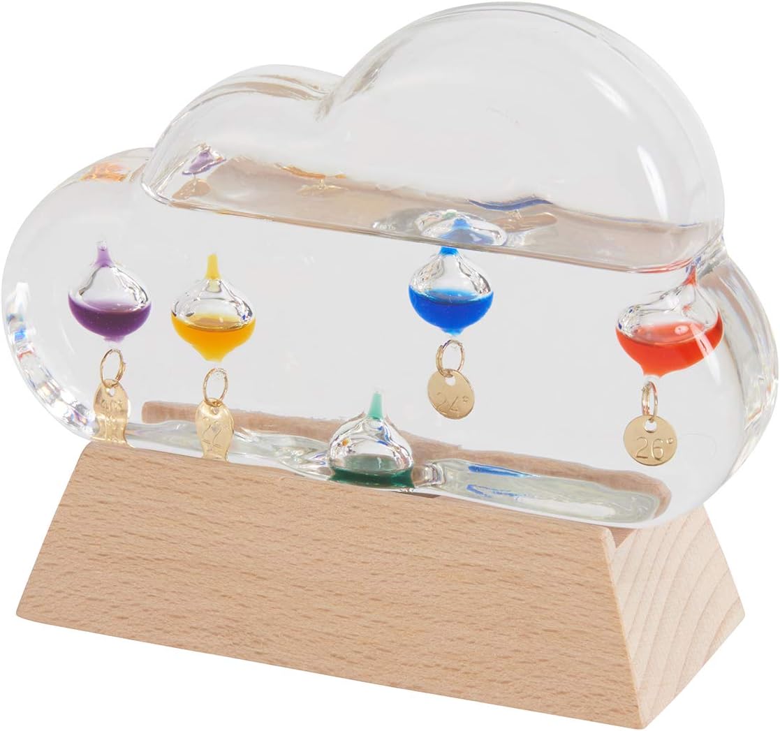 FUN SCIENCE Galileo Glass Float Thermometer Cloud : Amazon.ca: Home