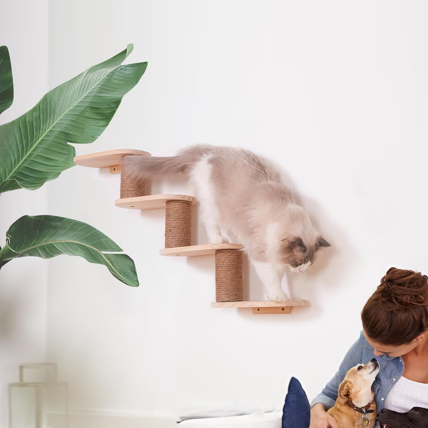 Amazon.com : Cat Wall Corner Climbing Shelves - Wall Mounted Steps for ...