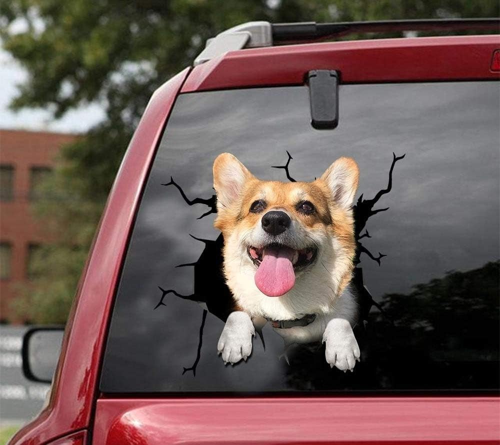 Amazon.com: Friends in Low Places Corgi Decal Vinyl Sticker Auto Car ...
