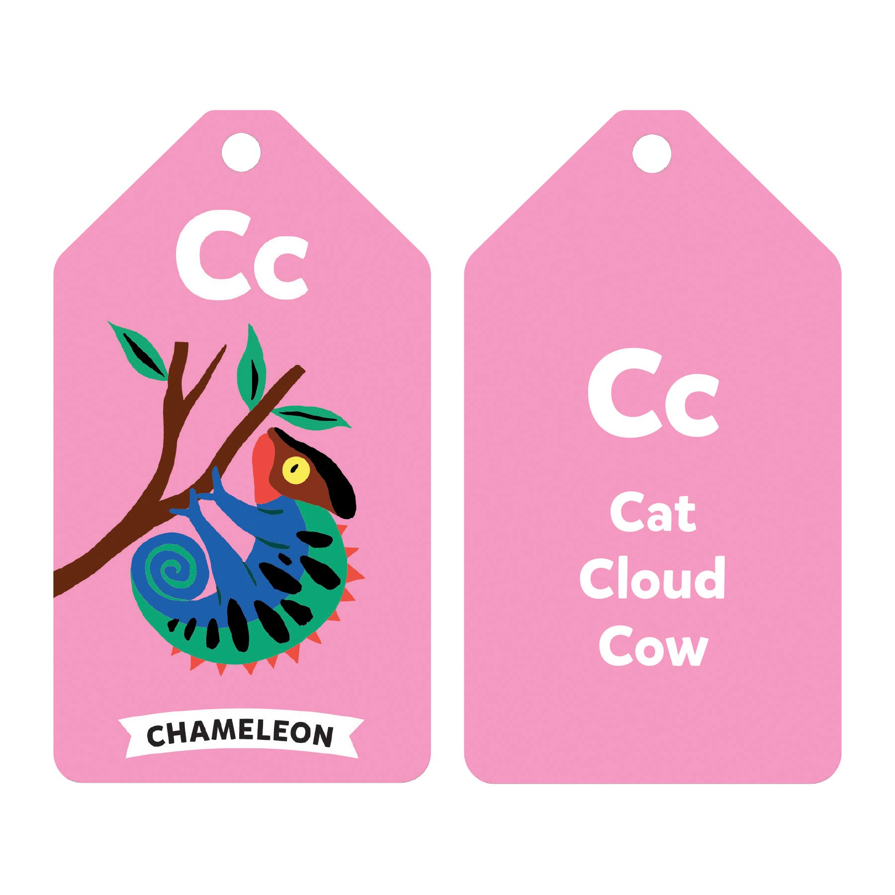 Snapklik.com : Mudpuppy Wildlife ABCs Ring Flash Cards For Kids - 26 ...