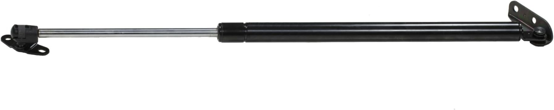 Amazon.com: Strongarm 4305R Tailgate Lift Support, Pack of 1, black ...