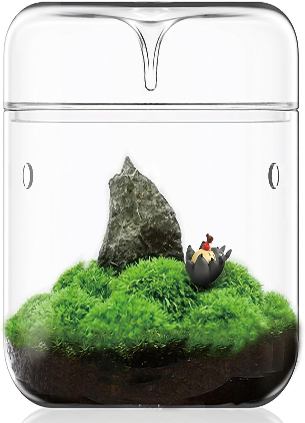 Amazon.com : EcoSphere Closed Aquatic Ecosystem, Small Sphere, with ...