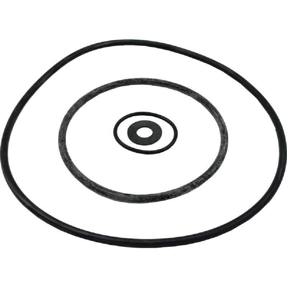 Amazon.com: Pentair PP1200 Seal Gasket Replacement Kit Sta-Rite Pool ...