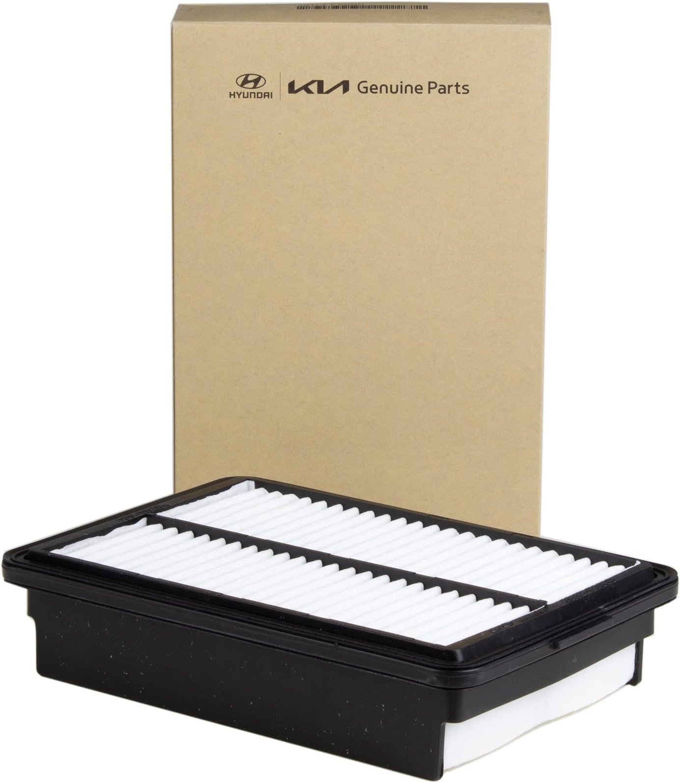 Amazon.com: Genuine OEM 28113-F2000 Air Cleaner Filter / 28113F2000 for ...