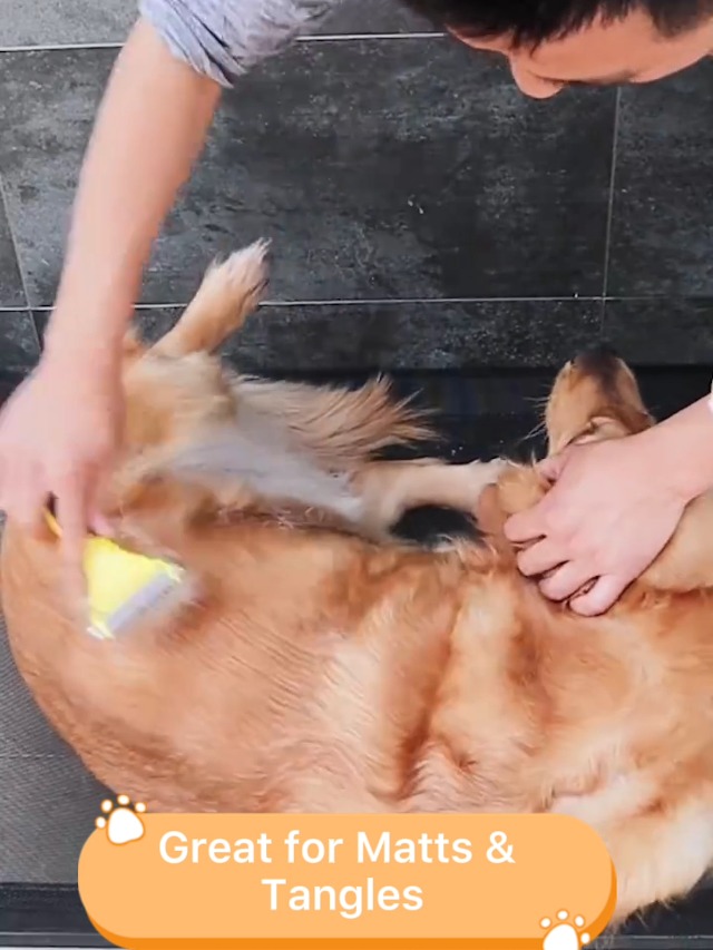 Watch Pet Dematting Comb - 2 Sided Undercoat Rake for Cats & Dogs on ...