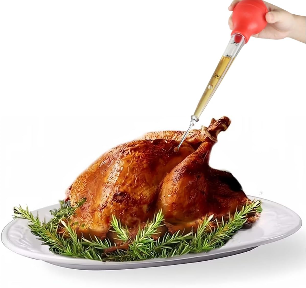 Amazon.com | Cosmos Turkey Platter, Multicolored, Large: Platters