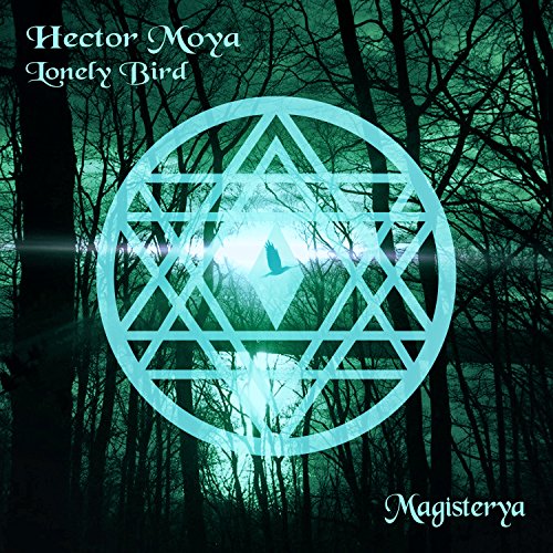 Play Lonely Bird by Hector Moya on Amazon Music