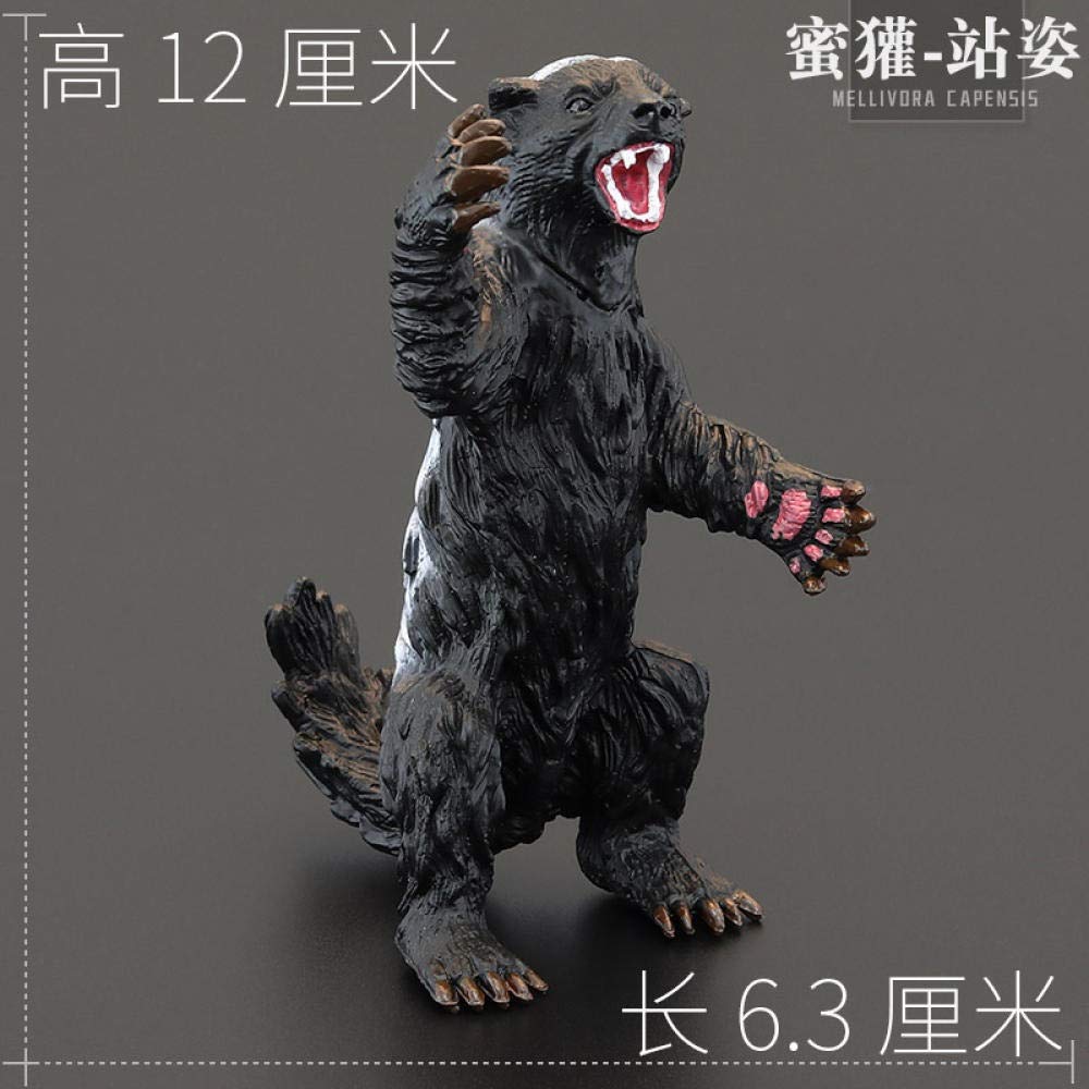 Honey Badger Standing