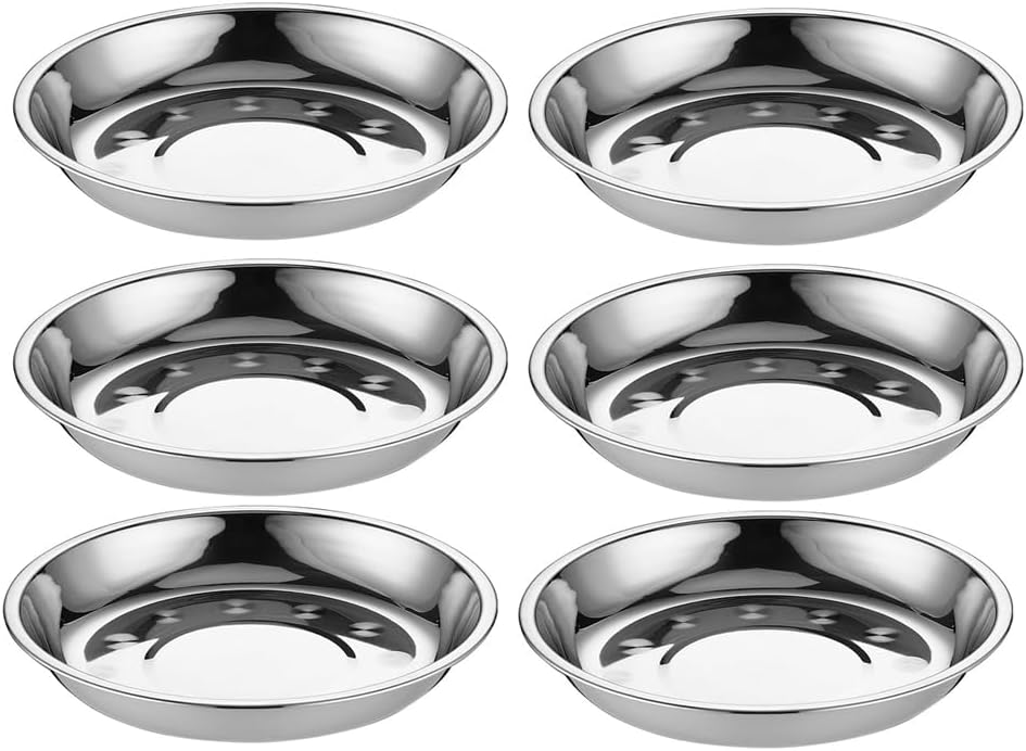 Amazon.com | Zerdyne 4-Pack Small Stainless Steel Dinner Plate, Round ...