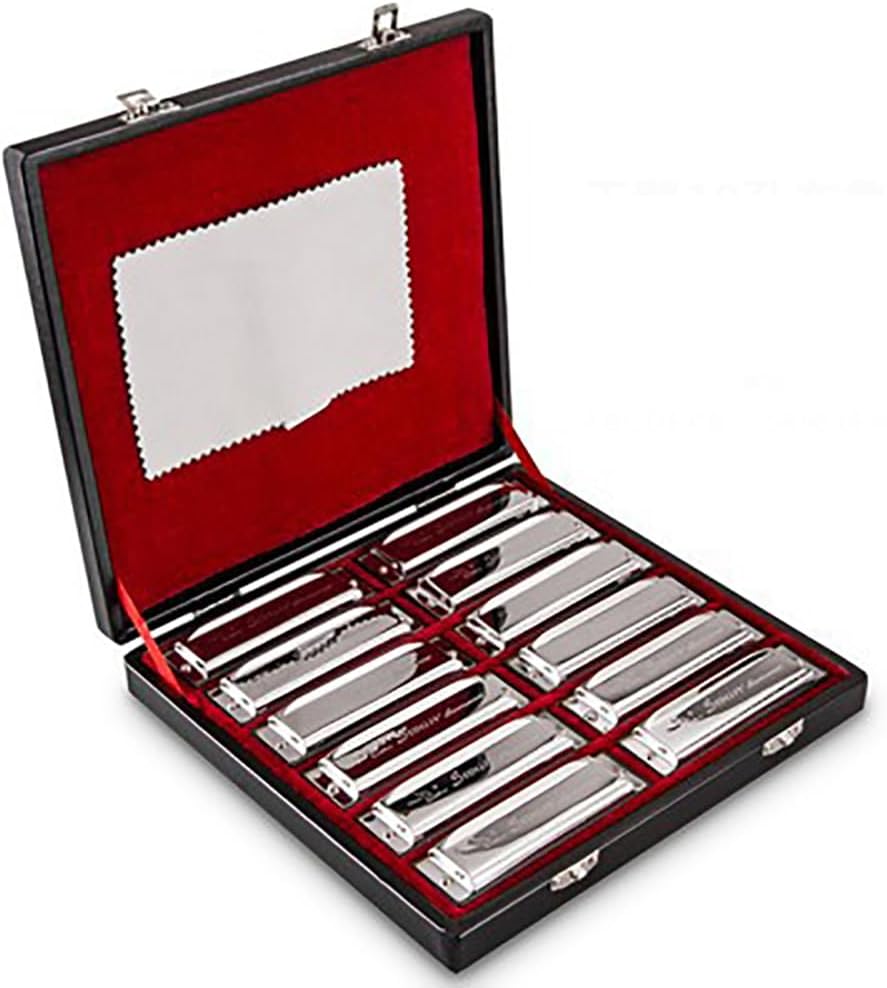Amazon.com: Swan Harmonica 10 Hole Blues Harmonica Set 7/12 Tone Set ...