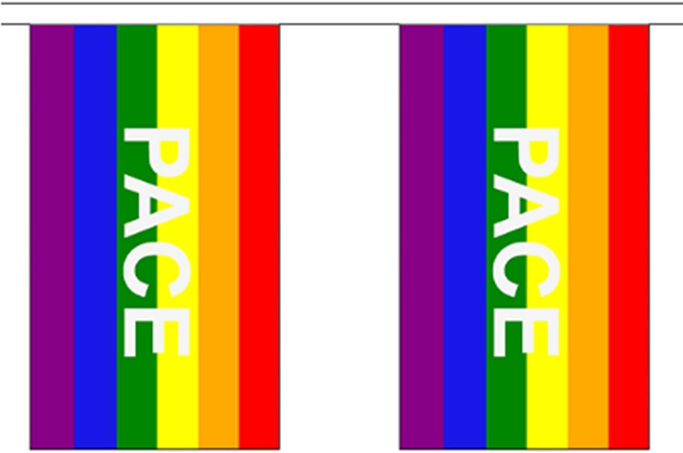 Amazon.com : Rainbow LGBT Gay Pride PACE (Peace) String 10 Flag ...