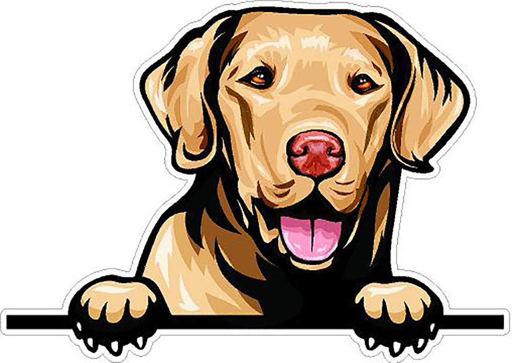 Amazon.com: Chessie Retriever Decal - Peeking Smiling Dog Breed Full ...