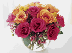 Amazon.com : Sundance Bouquet : Fresh Cut Format Mixed Flower ...