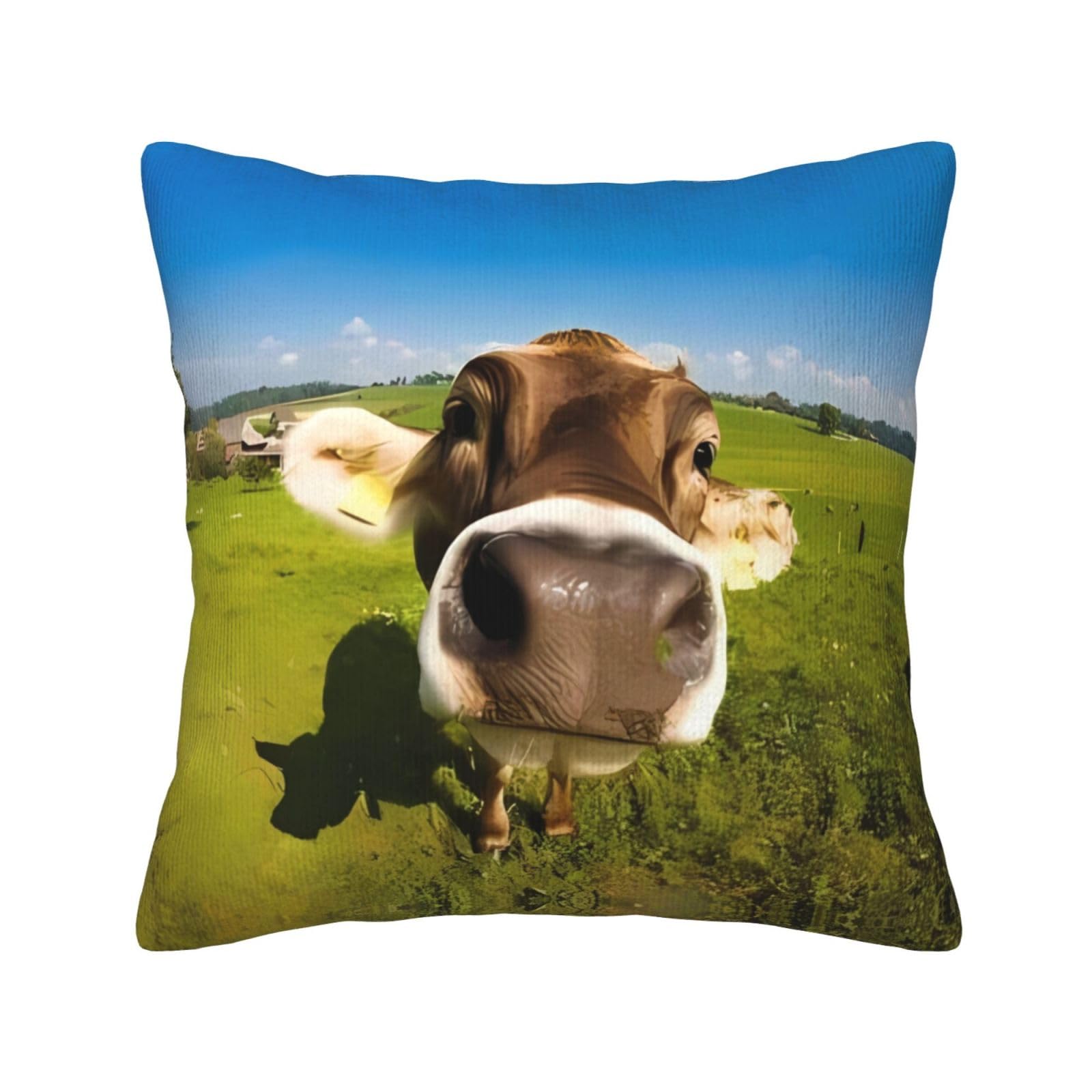 Cow Wallpapers For Desktop