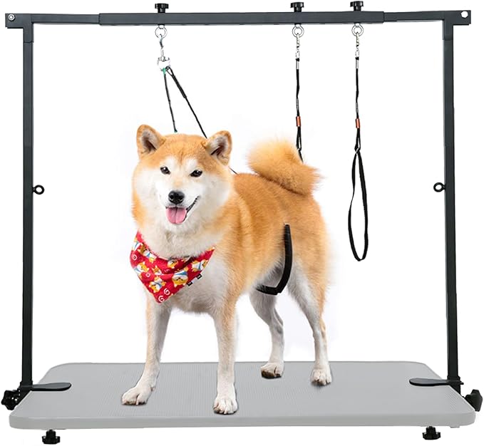 Amazon.com: Breeze Touch Dog Grooming Table Arm - Overhead Pet Grooming ...