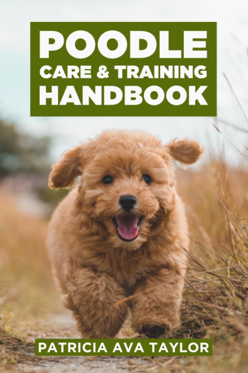 Poodle Care & Training Handbook: A Comprehensive Guide to Raising a ...