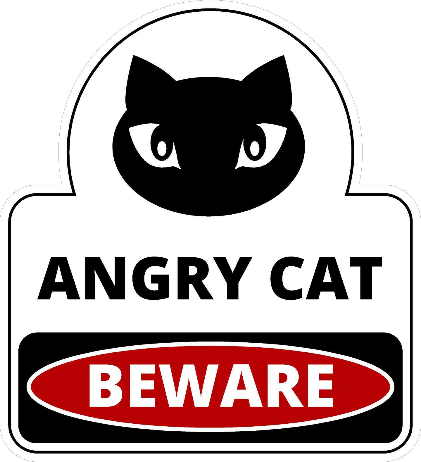 Very Angry Cat