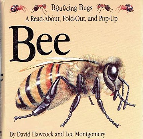 BEE (Bouncing Bugs): Hawcock, David: 9780679854708: Amazon.com: Books