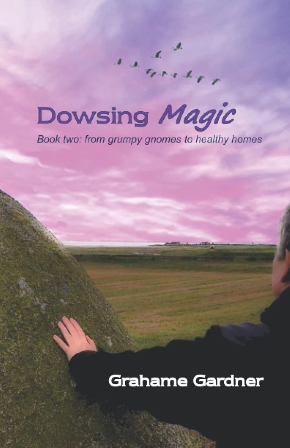 Amazon.com: Dowsing Magic Book Two: From grumpy gnomes to healthy homes ...