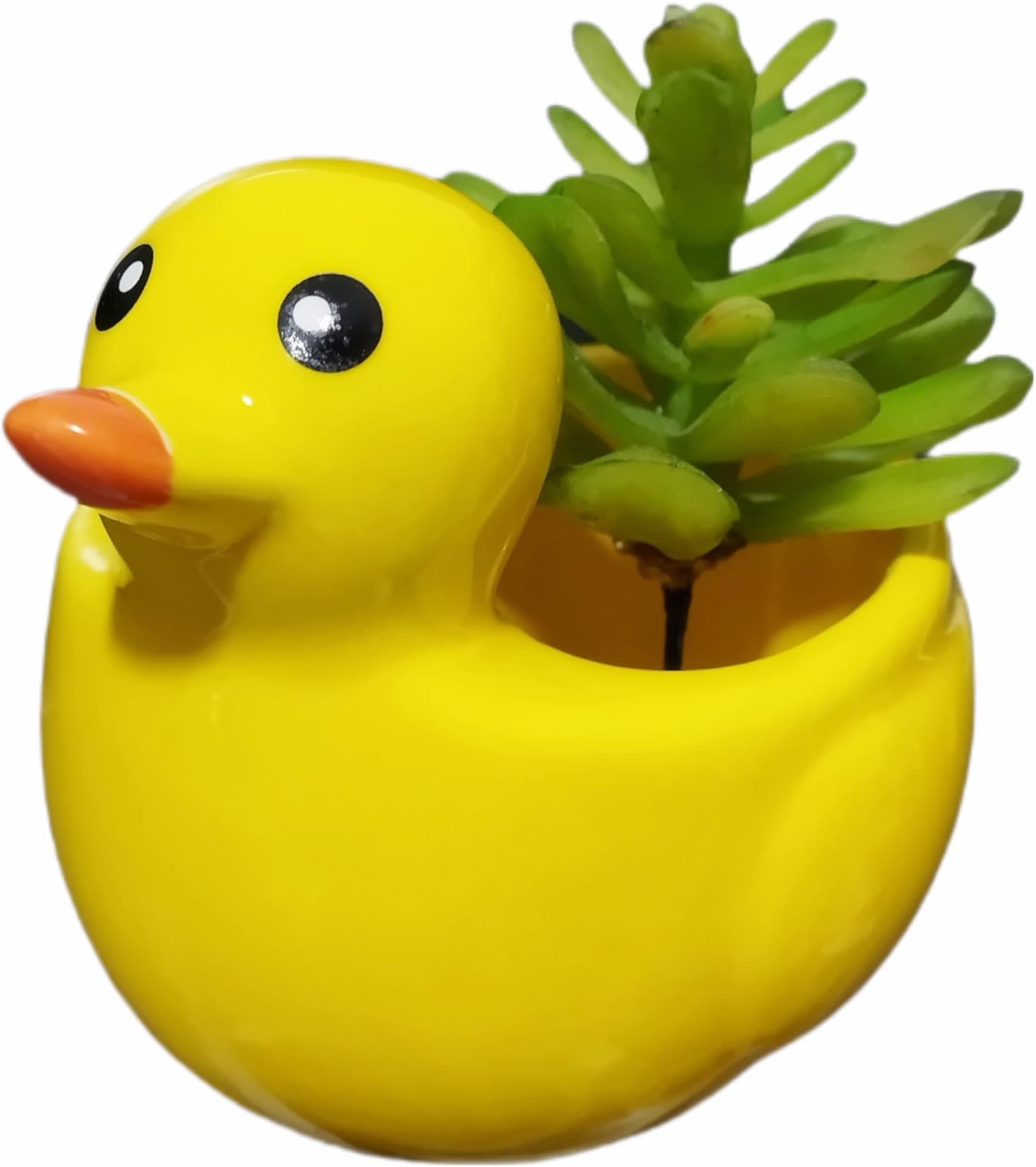Amazon.com: CINGHI LUSSO Animal Ceramic Succulent Planters Pot, Cute ...