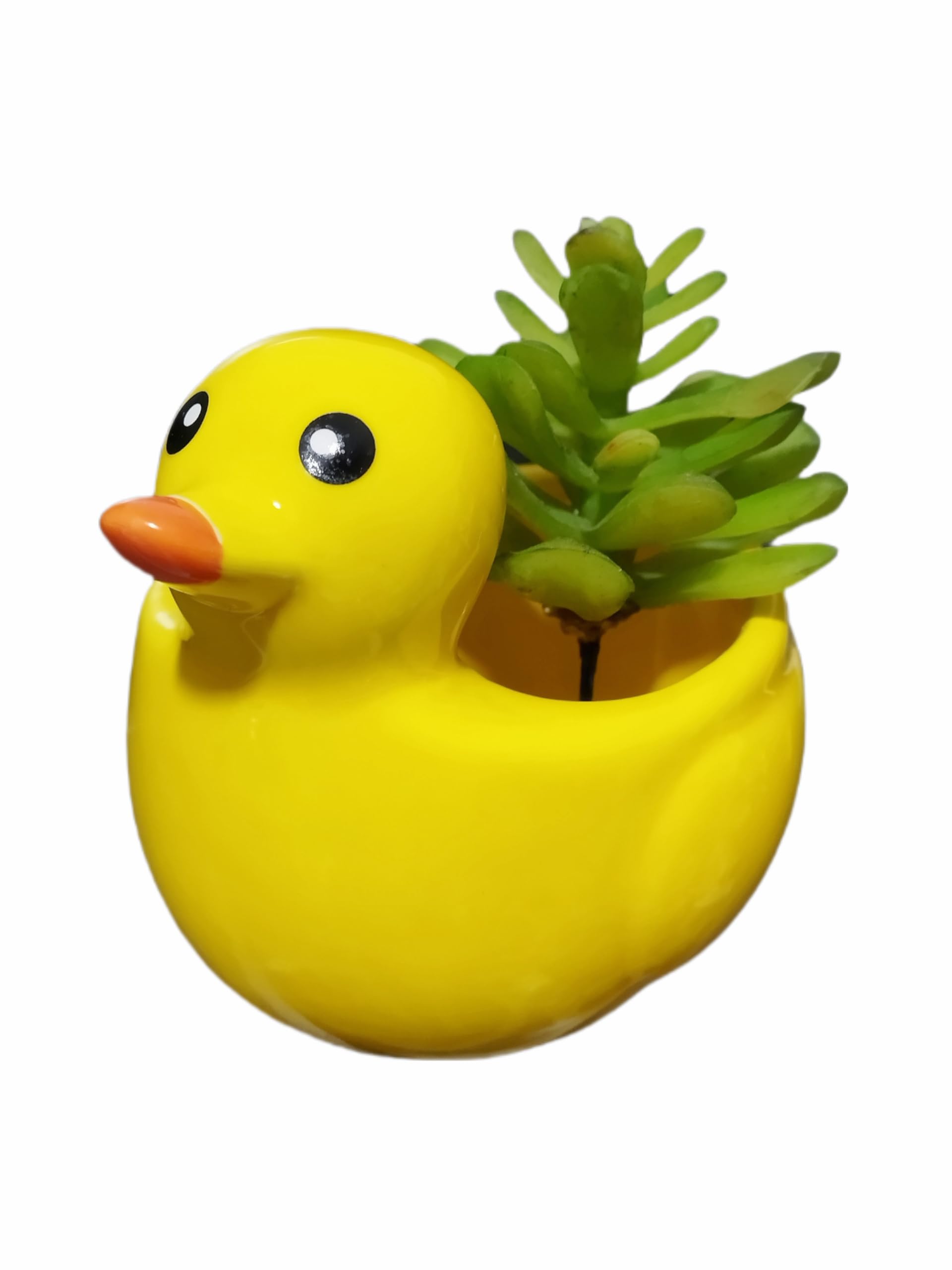 Amazon.com : Cute 4.7 Inches Indoor Cartoon Animal Duck Shaped Ceramic ...