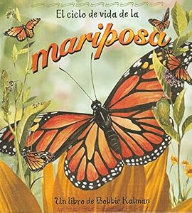 9780778786627: El Ciclo De Vida De La Mariposa / Life Cycle of a ...
