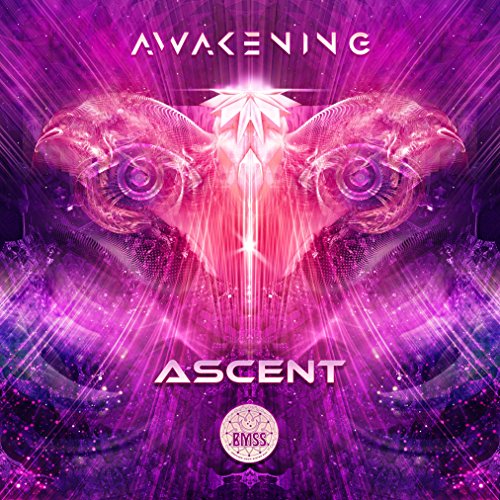 Amazon.com: Awakening : VARIOUS ARTISTS: Digital Music