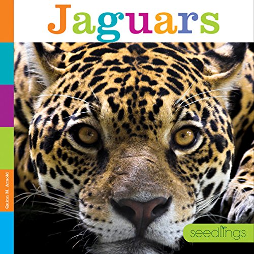 Jaguar Books for Children | Rainforest Unit Study