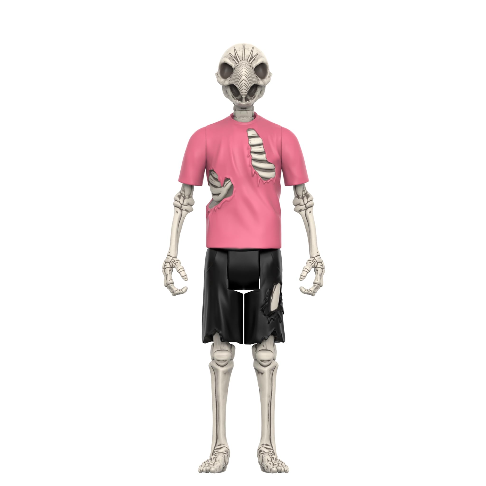 Snapklik.com : Powell-Peralta Tony Hawk - 3.75" Powell-Peralta Action ...