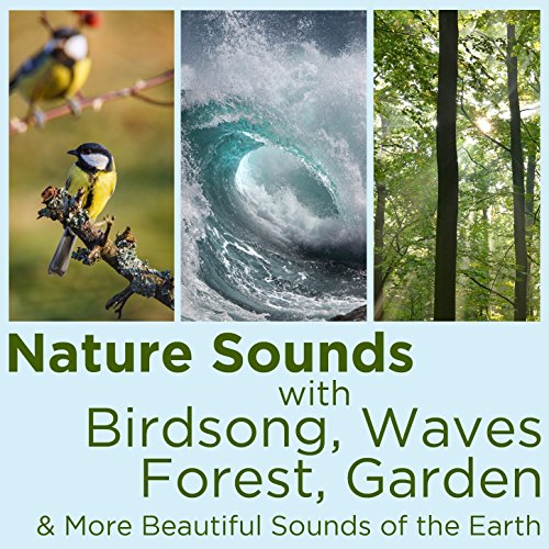 Amazon MusicでNature SoundsのNature Sounds with Birdsong, Waves, Forest ...