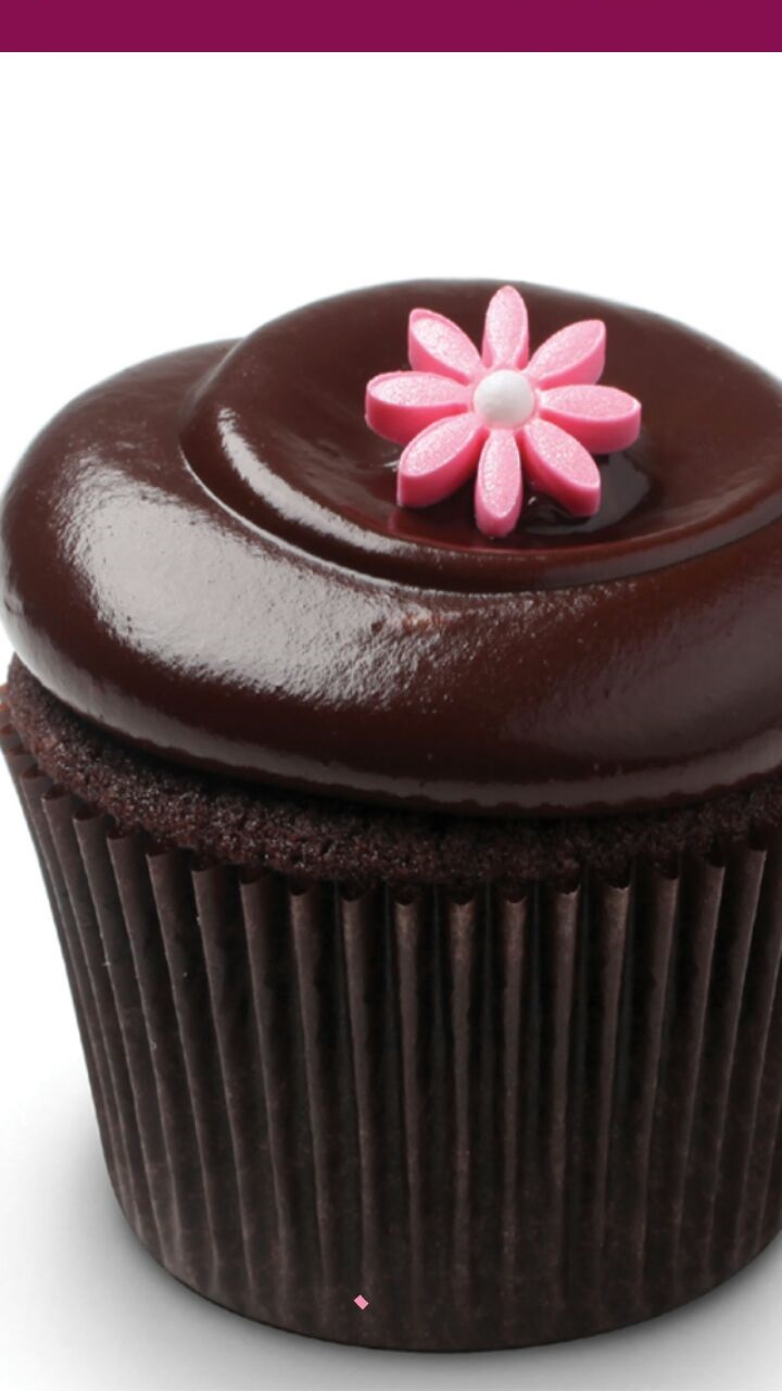 Cupcake Recipes - App on Amazon Appstore