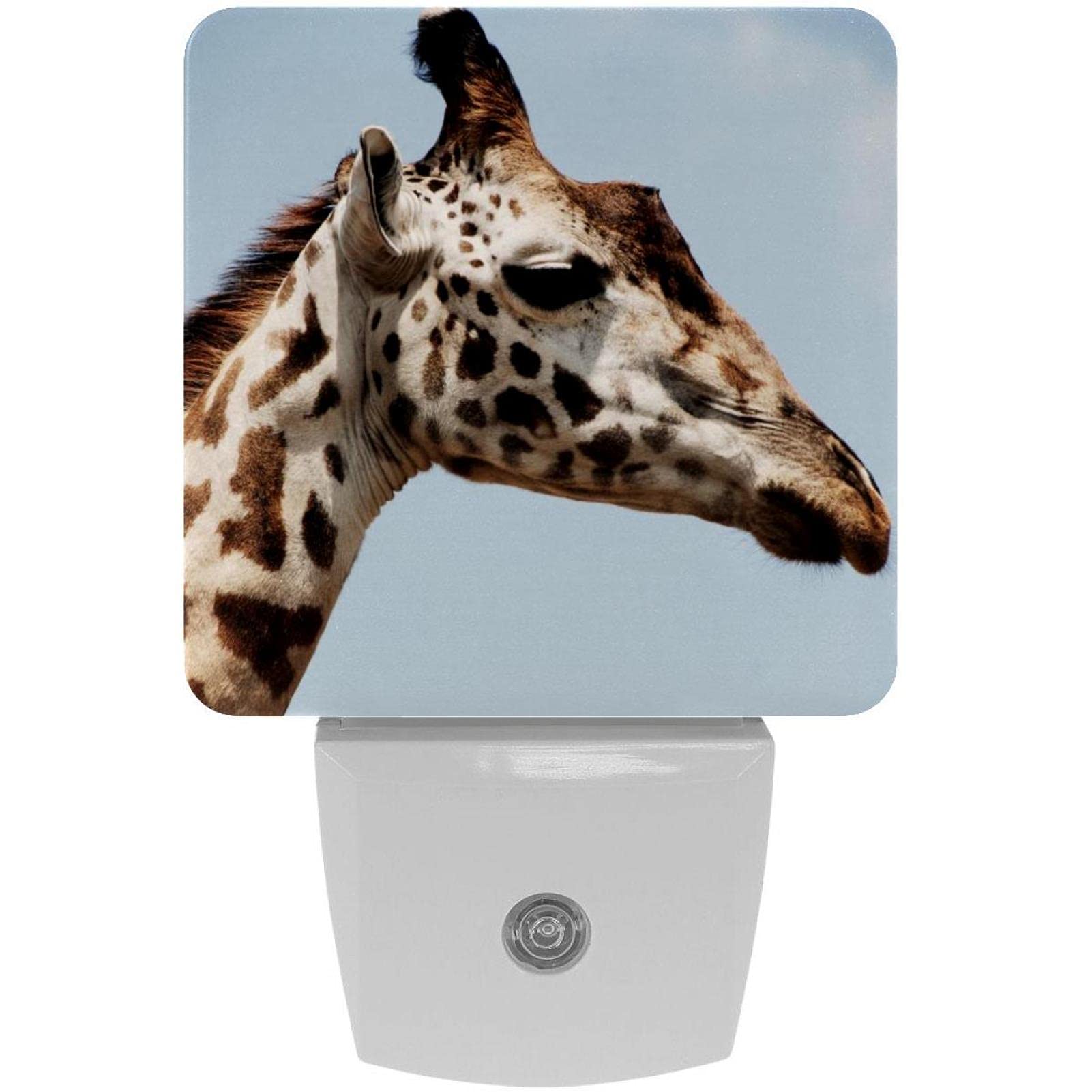 Dawn Used On Animals