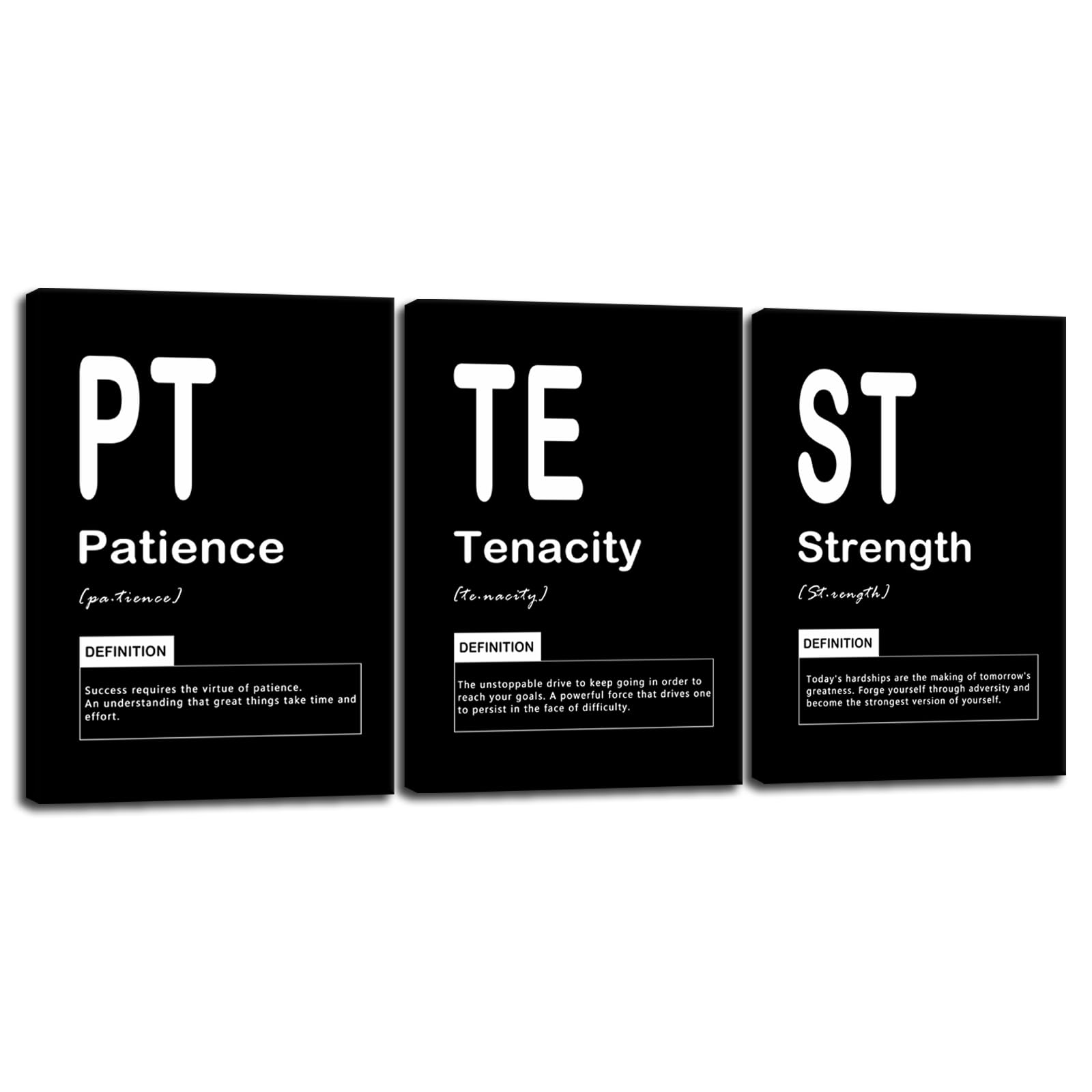 Amazon.com: Motivational Wall Art Canvas Print Patience Tenacity ...