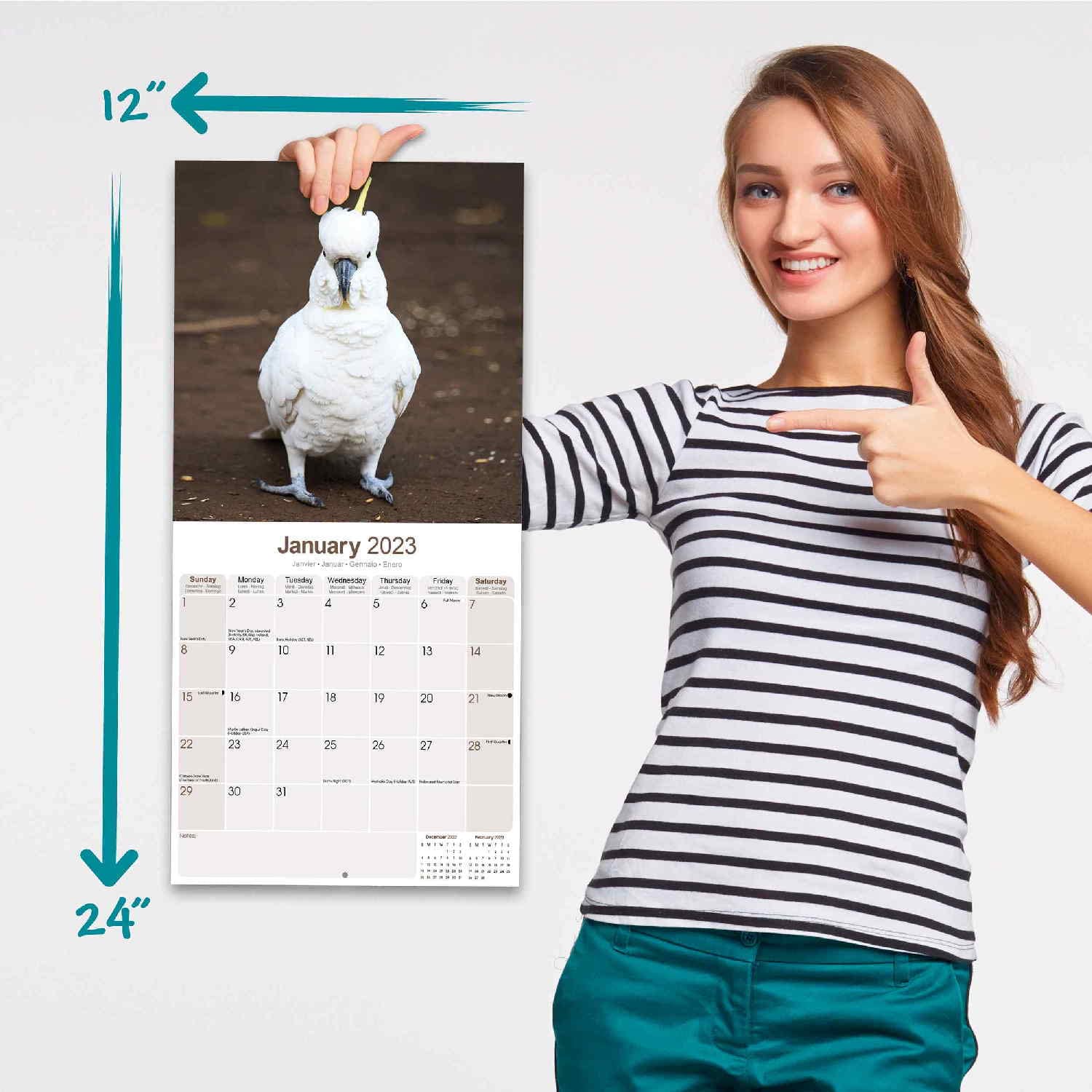 Snapklik.com : 2024 2025 Cockatoos Calendar - Monthly Wall Calendar ...