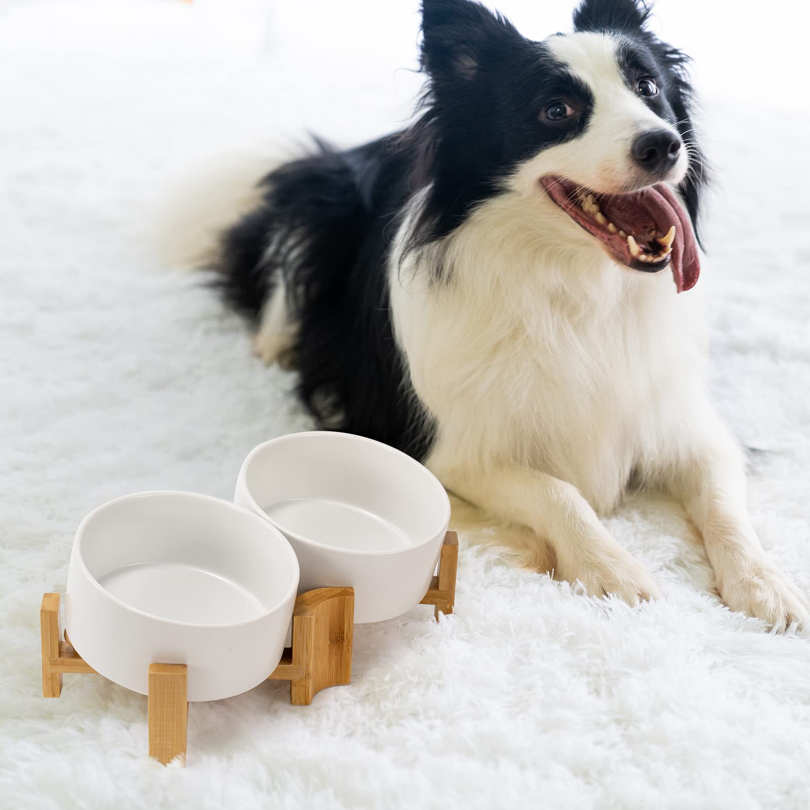 SPUNKYJUNKY 15° Slanted Ceramic Dog and Cat Bowl with Wooden Stand ...