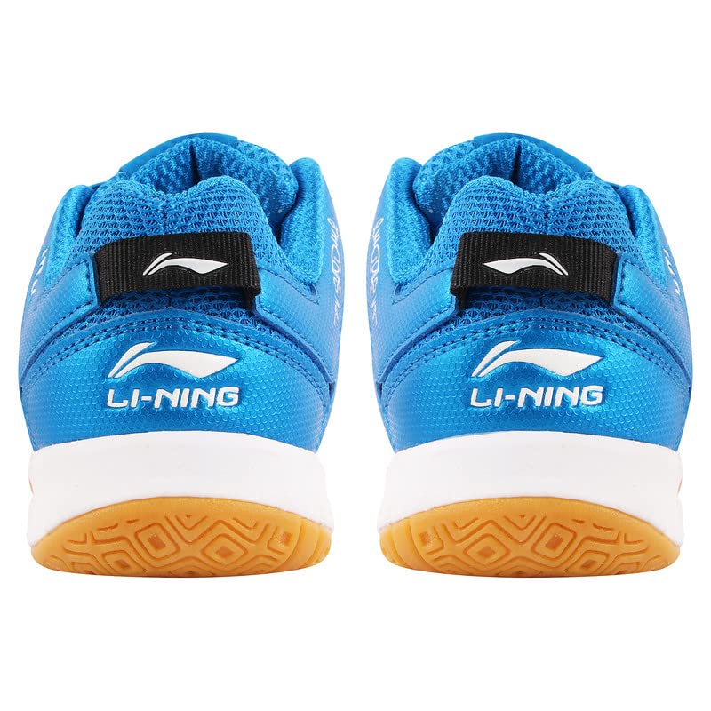 Buy Li-Ning Cloud ACE III Men's Non-Marking Badminton Shoes for Mens ...