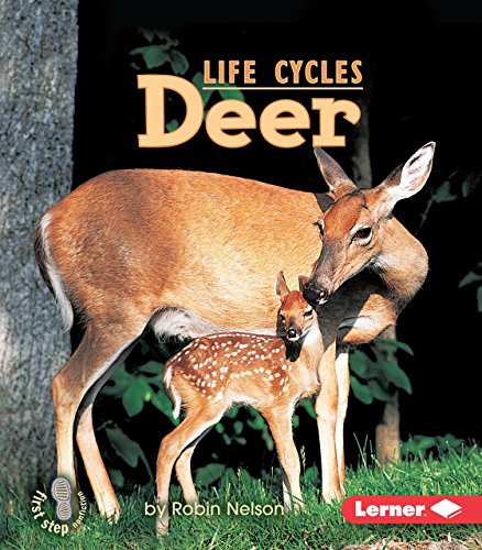 Deer (First Step Nonfiction ― Animal Life Cycles) | Amazon price ...