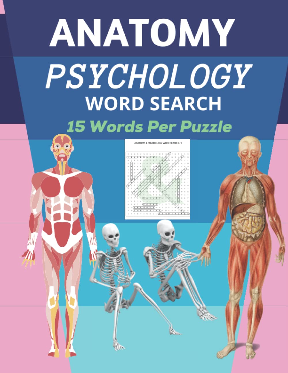 Anatomy Of Words