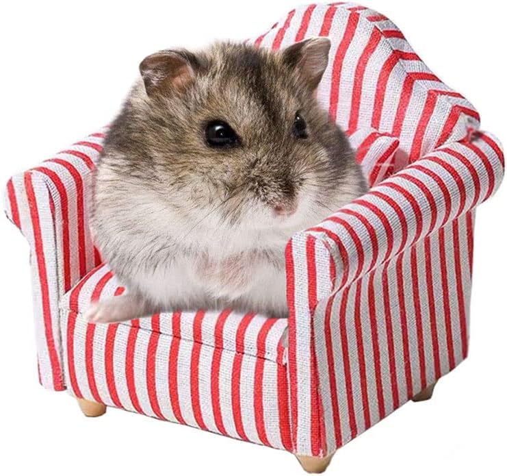 Amazon.com : ARBOZEW Hamster Mini Sofa, Mice Soft Bed, Classic Red and ...