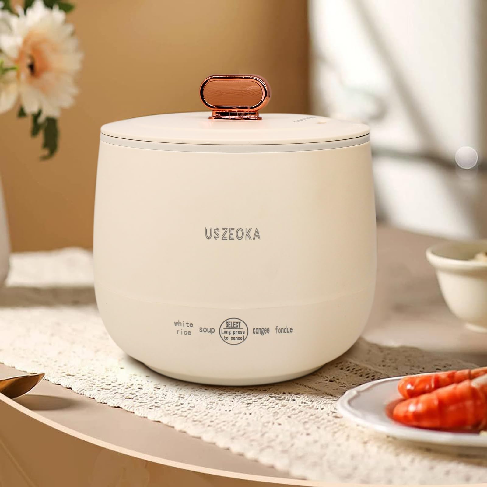Amazon.com: OSBA Small Rice Cooker,12v Portable Travel Rice Cooker For ...