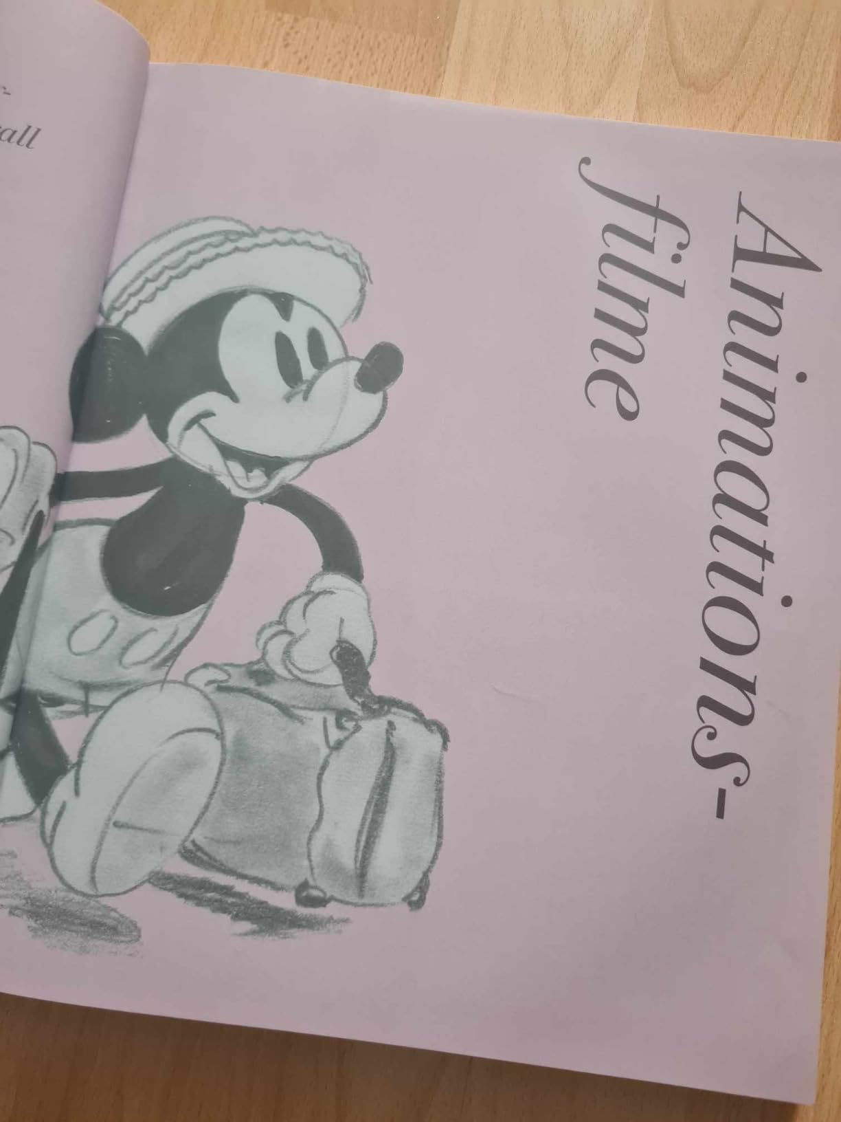 The Disney Book: A Celebration of the World of Disney : Fanning, Jim ...