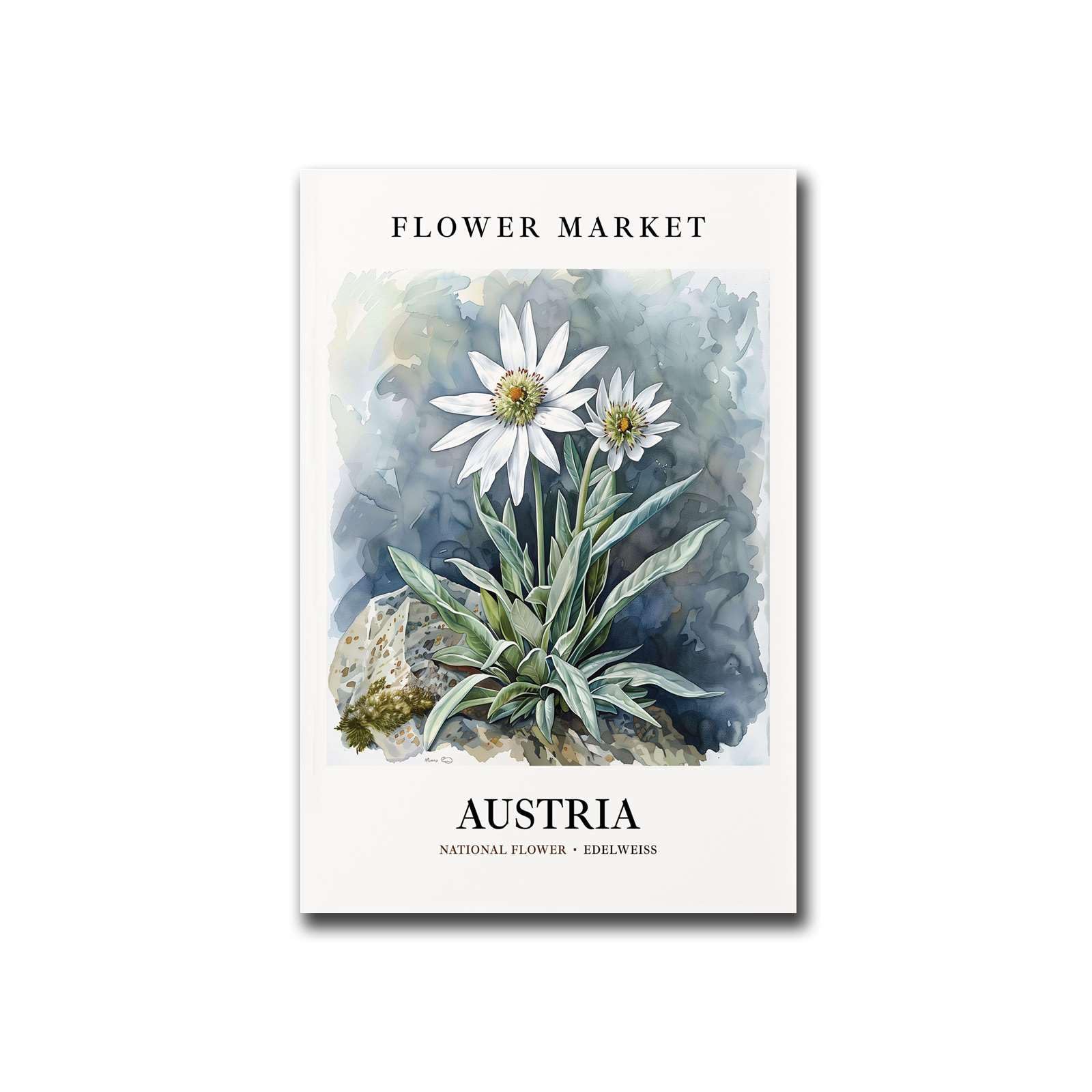 Austria State Flower