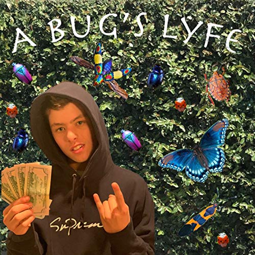 Amazon.com: A Bug's Lyfe : Lil Bug: Digital Music