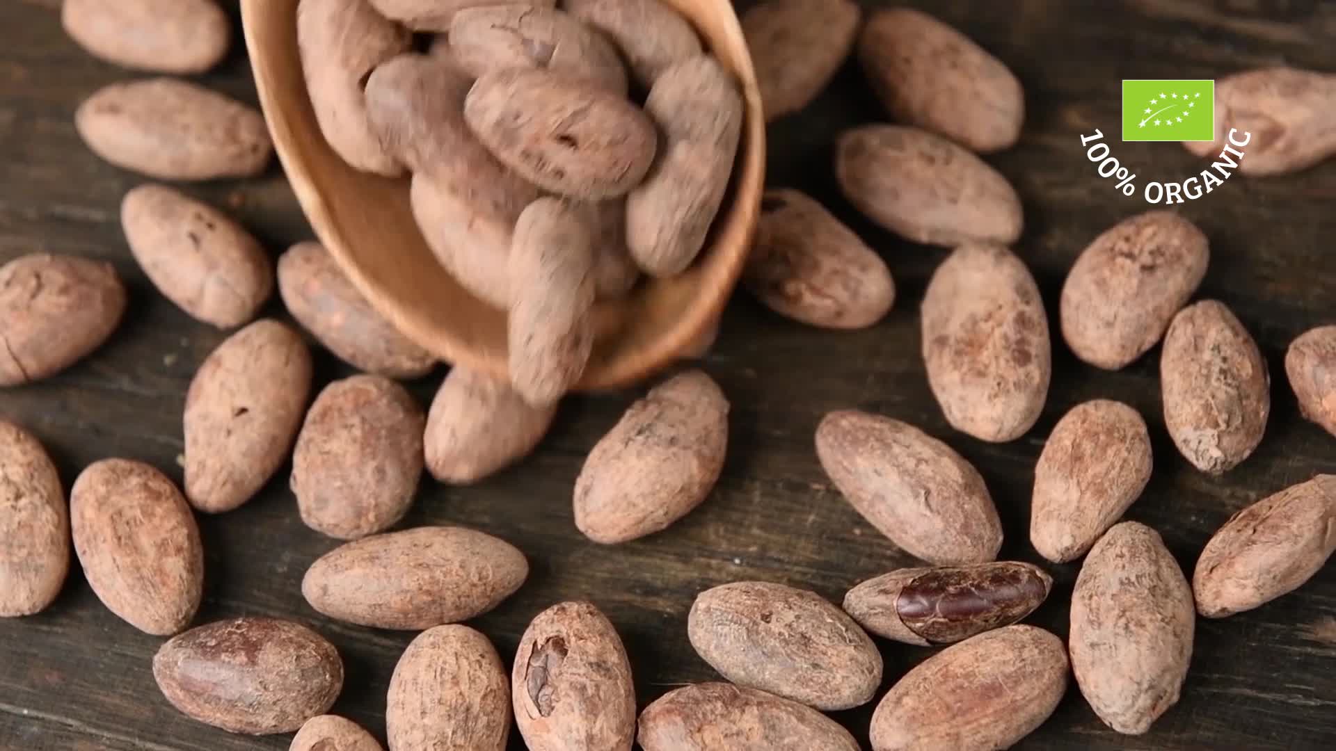 Cacao Beans Cacao Fruit, Nature's Chocolate My Exotic Fruit The