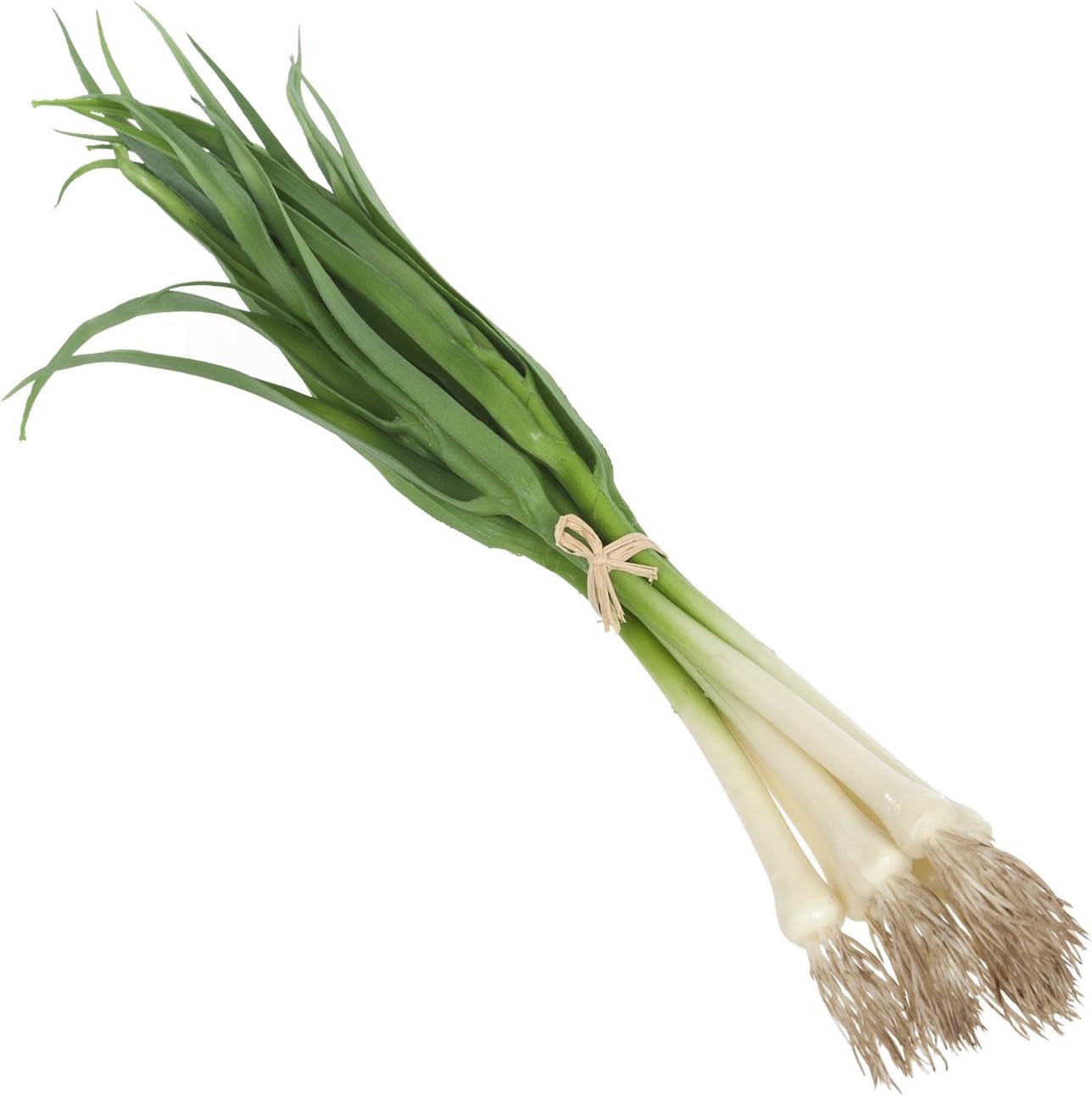 Amazon.com: Floristrywarehouse Spring Onion Bundle 6 Scallions 16 ...