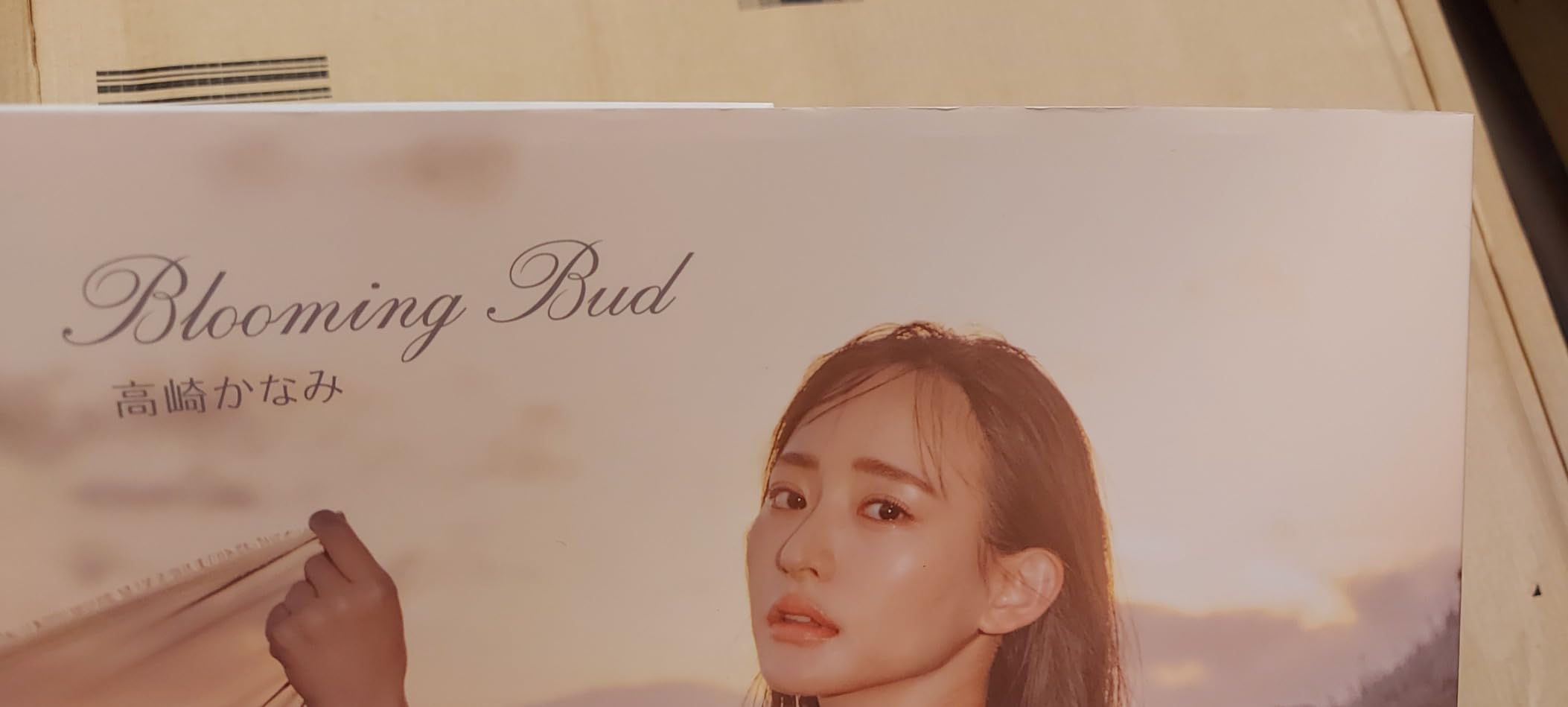 Amazon.co.jp: 高崎かなみ写真集 Blooming Bud (TWJ BOOKS) : 高崎かなみ: 本