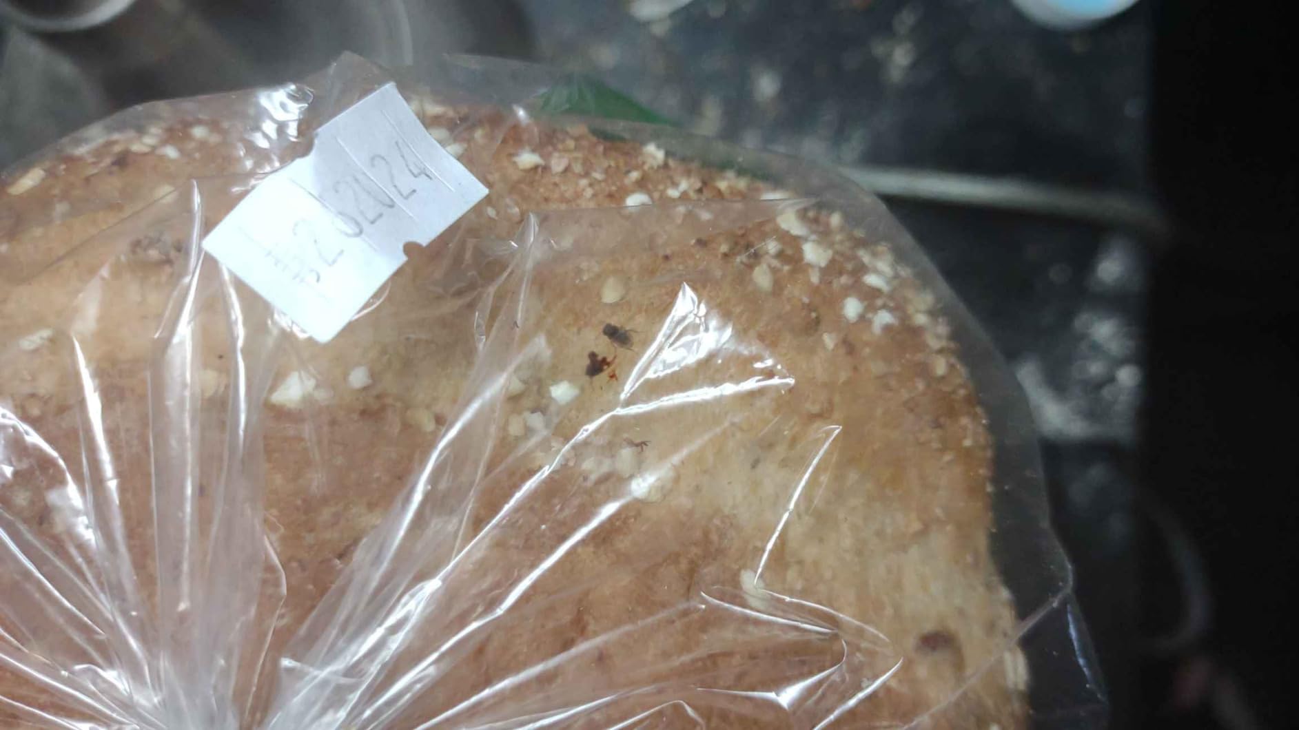 Amazon.com: Amazon Grocery, Multigrain Bread, 24 Oz, Frozen (Previously ...