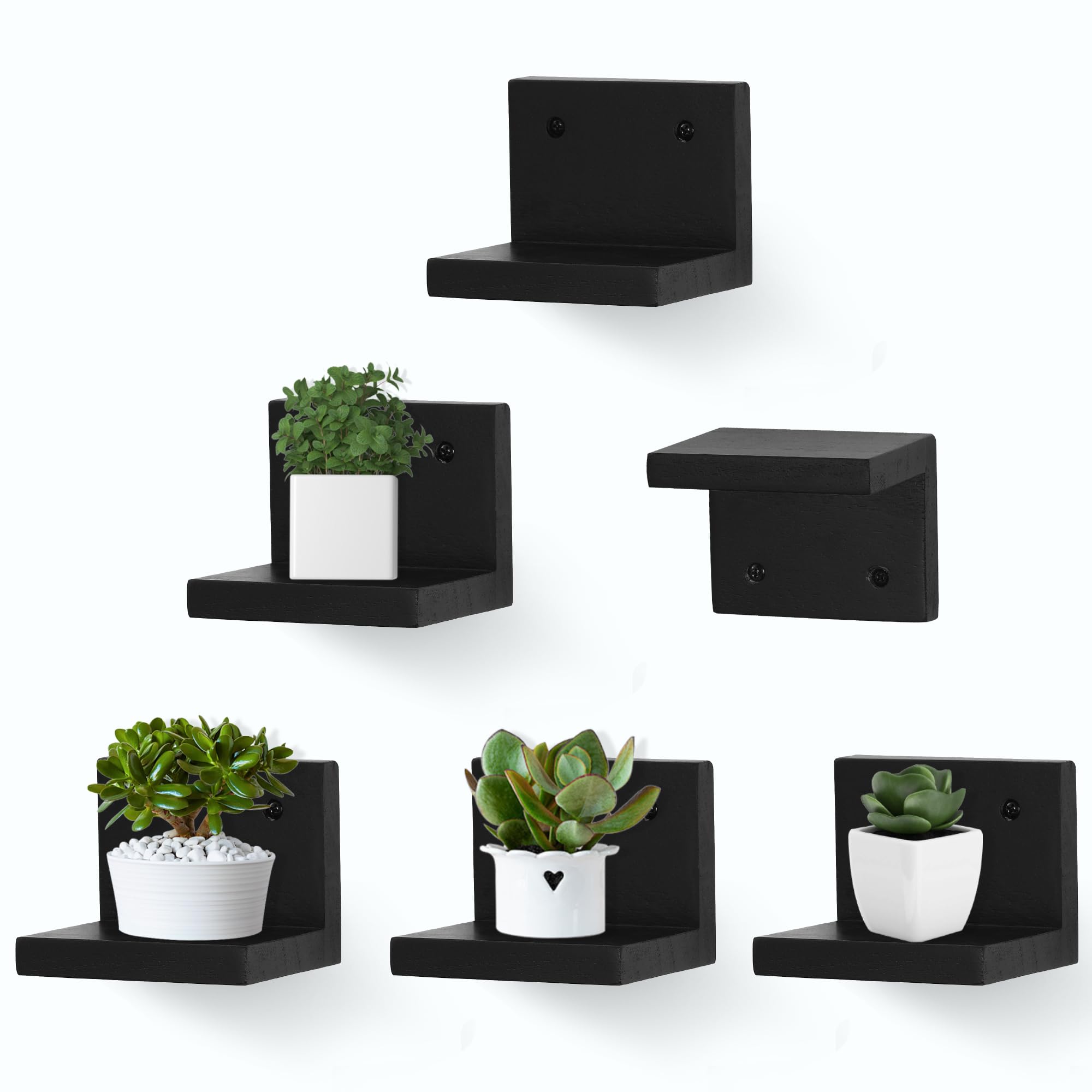 Amazon.com: NIUBEST Small Floating Shelf for Wall Set of 6,Mini Shelves ...
